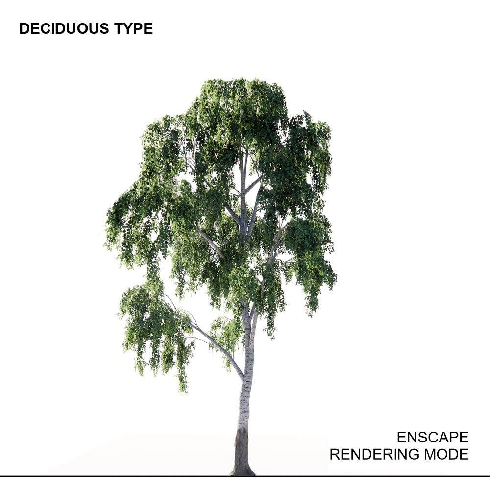 Sample Tree – BIMcraftHQ