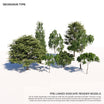 Deciduous Tree Pack – BIMcraftHQ